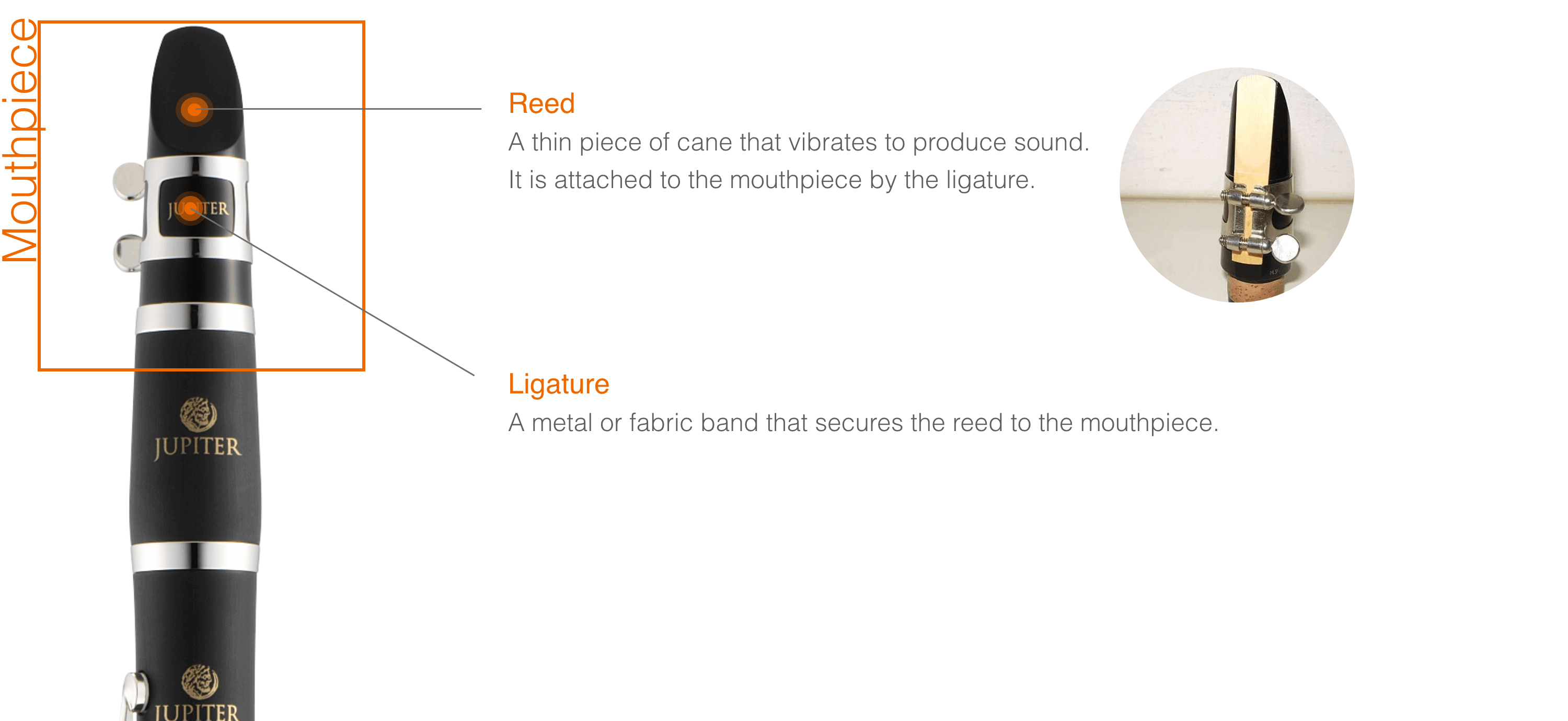 Explore Wind Instruments for Beginners | Jupiter Music