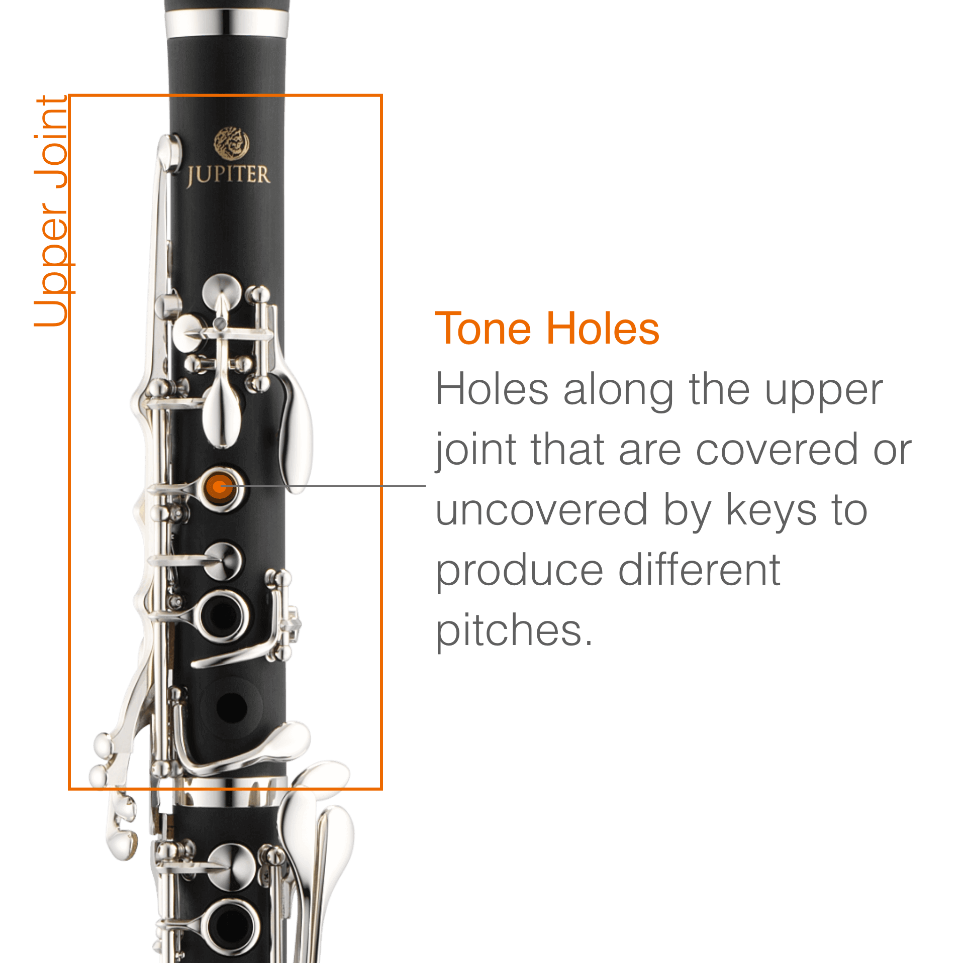 Explore Wind Instruments for Beginners | Jupiter Music