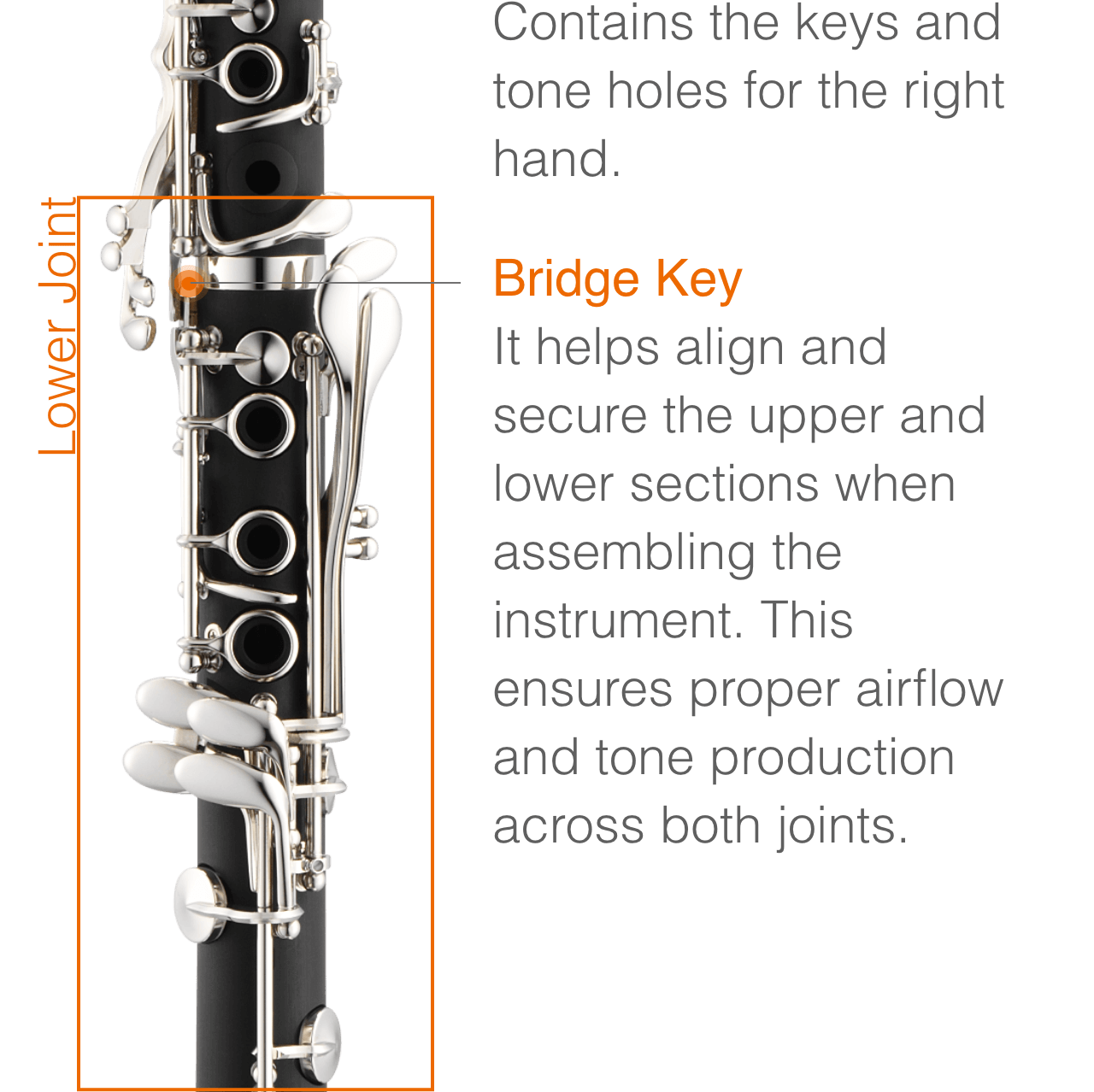 Explore Wind Instruments for Beginners | Jupiter Music