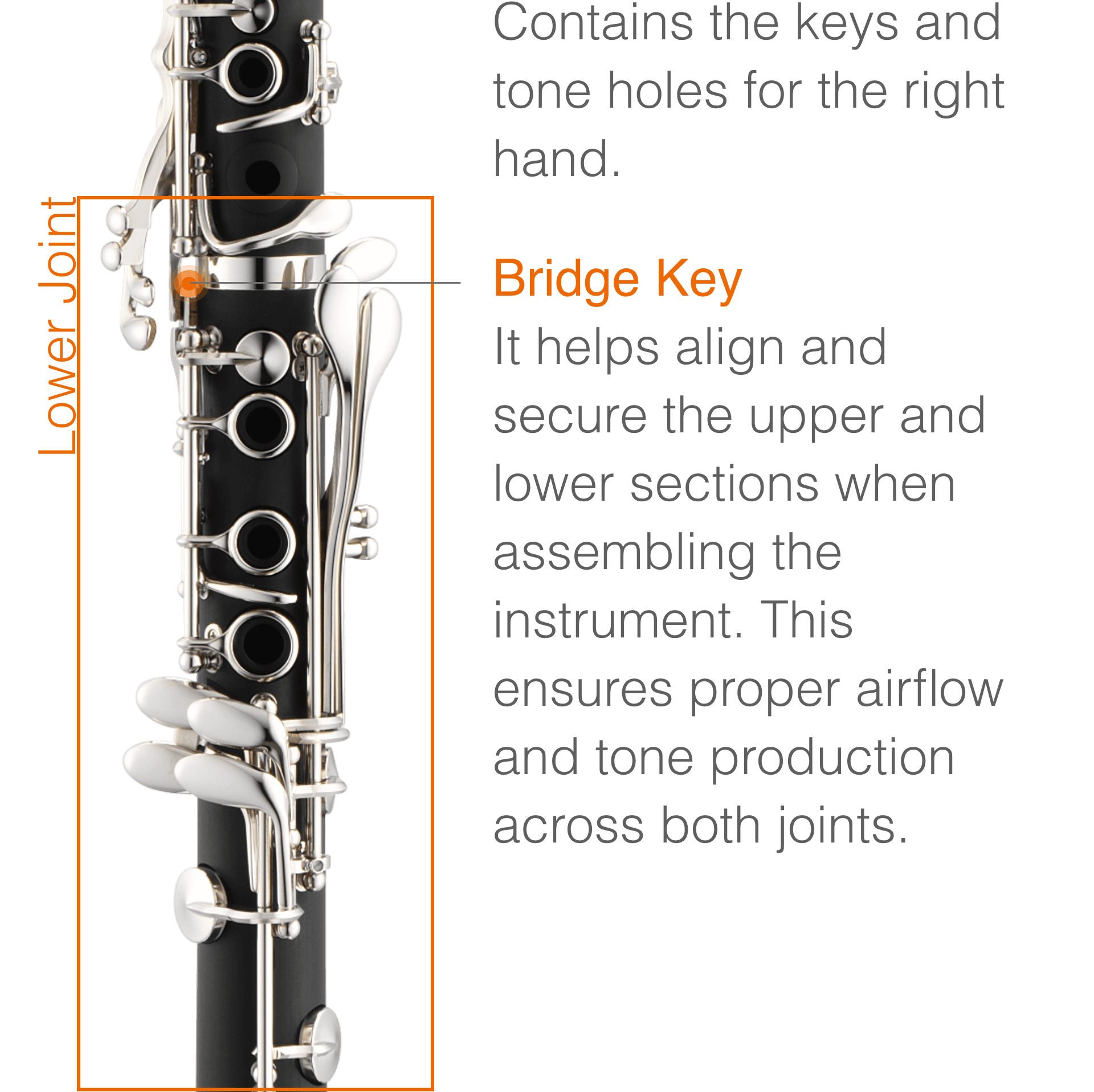 Explore Wind Instruments for Beginners | Jupiter Music