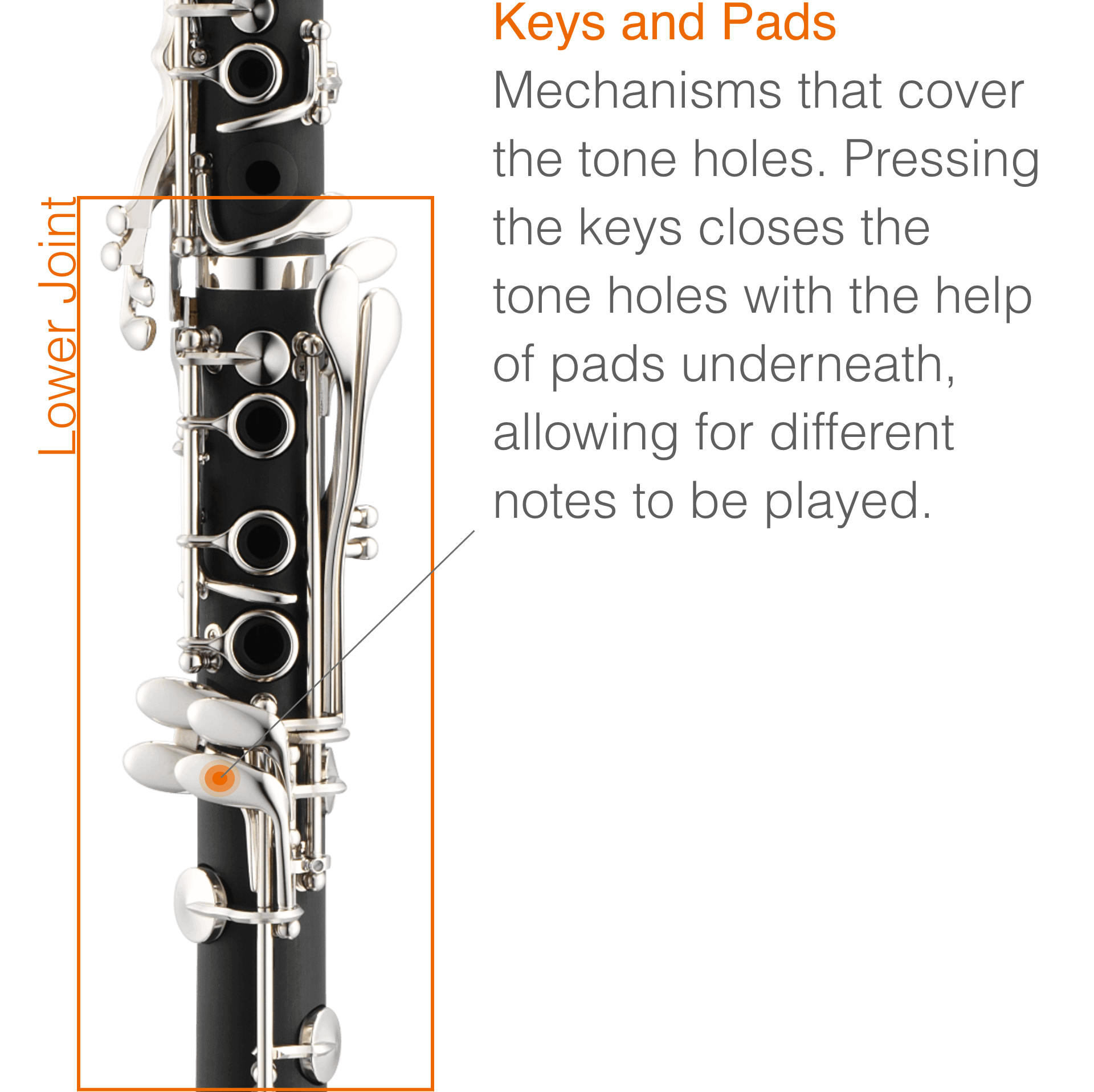 Explore Wind Instruments for Beginners | Jupiter Music