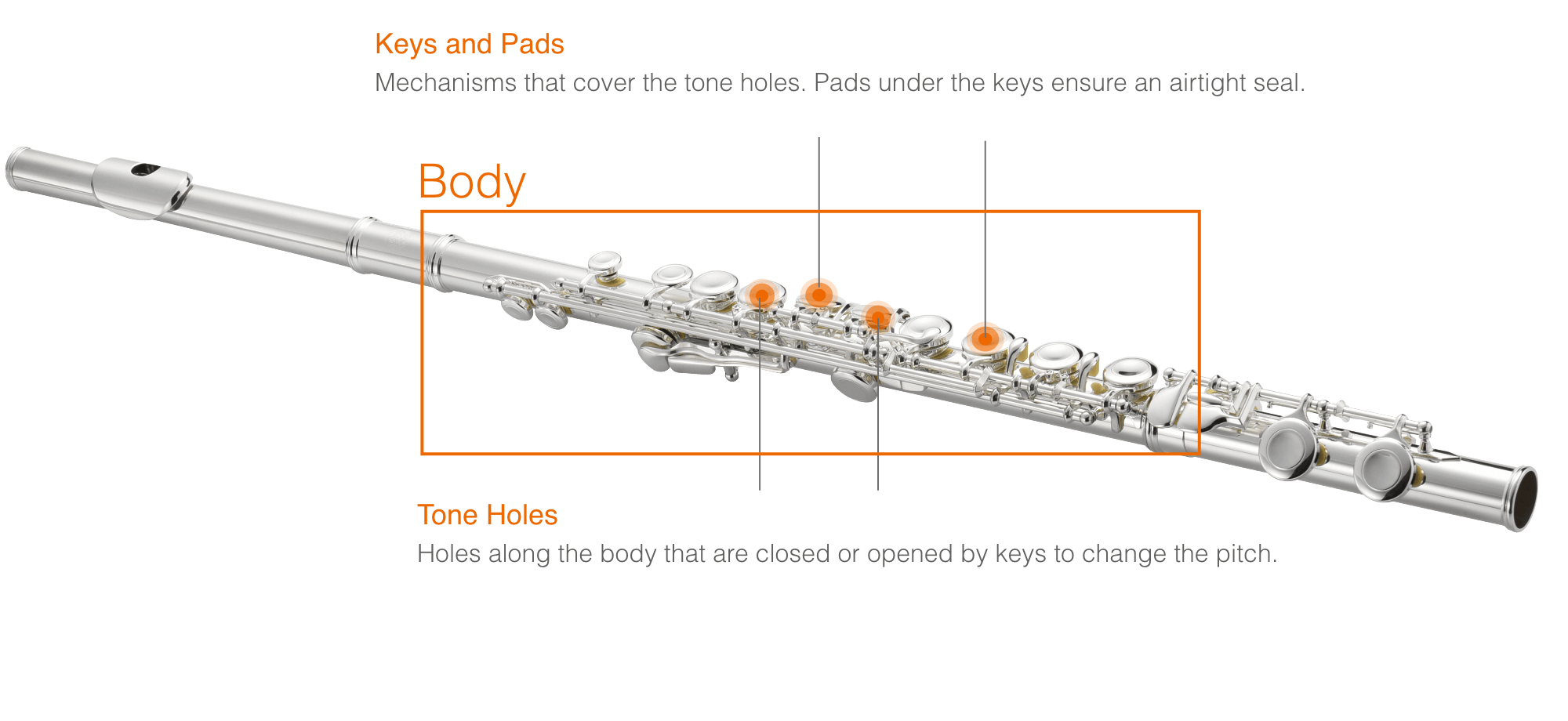 Explore Wind Instruments for Beginners | Jupiter Music