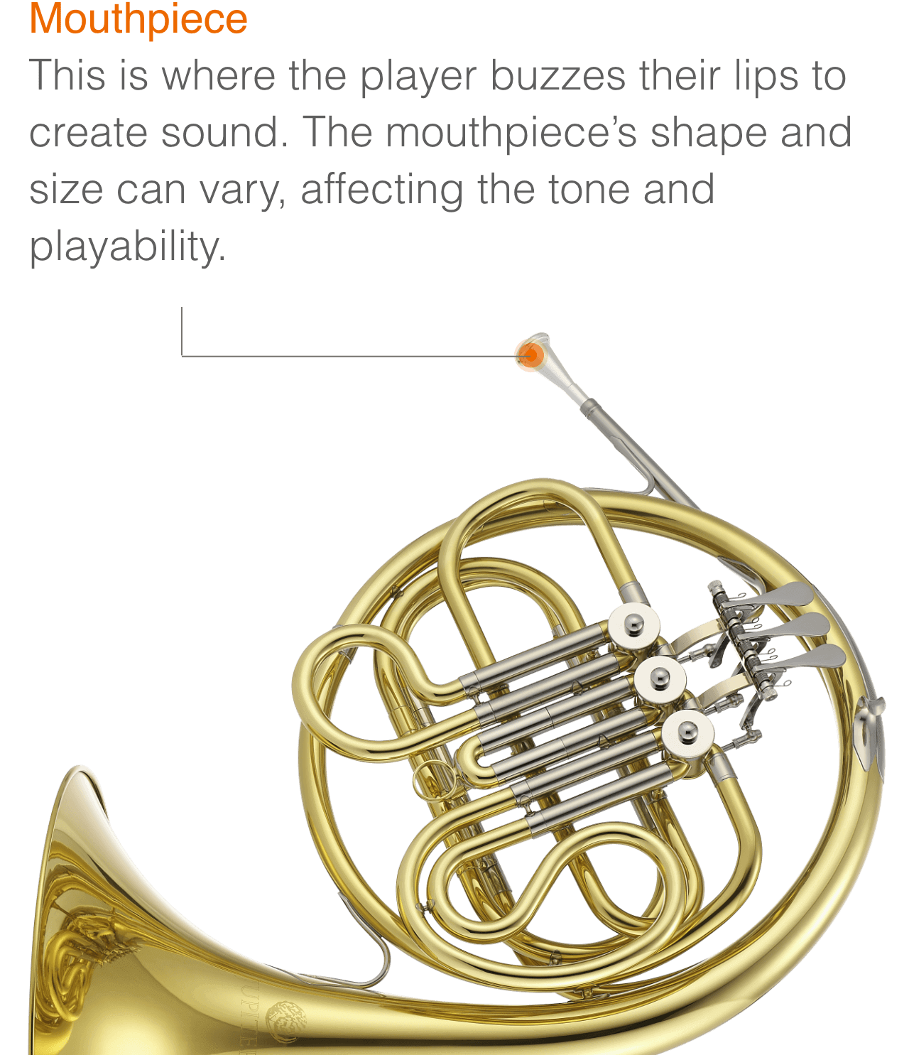 Explore Wind Instruments for Beginners | Jupiter Music