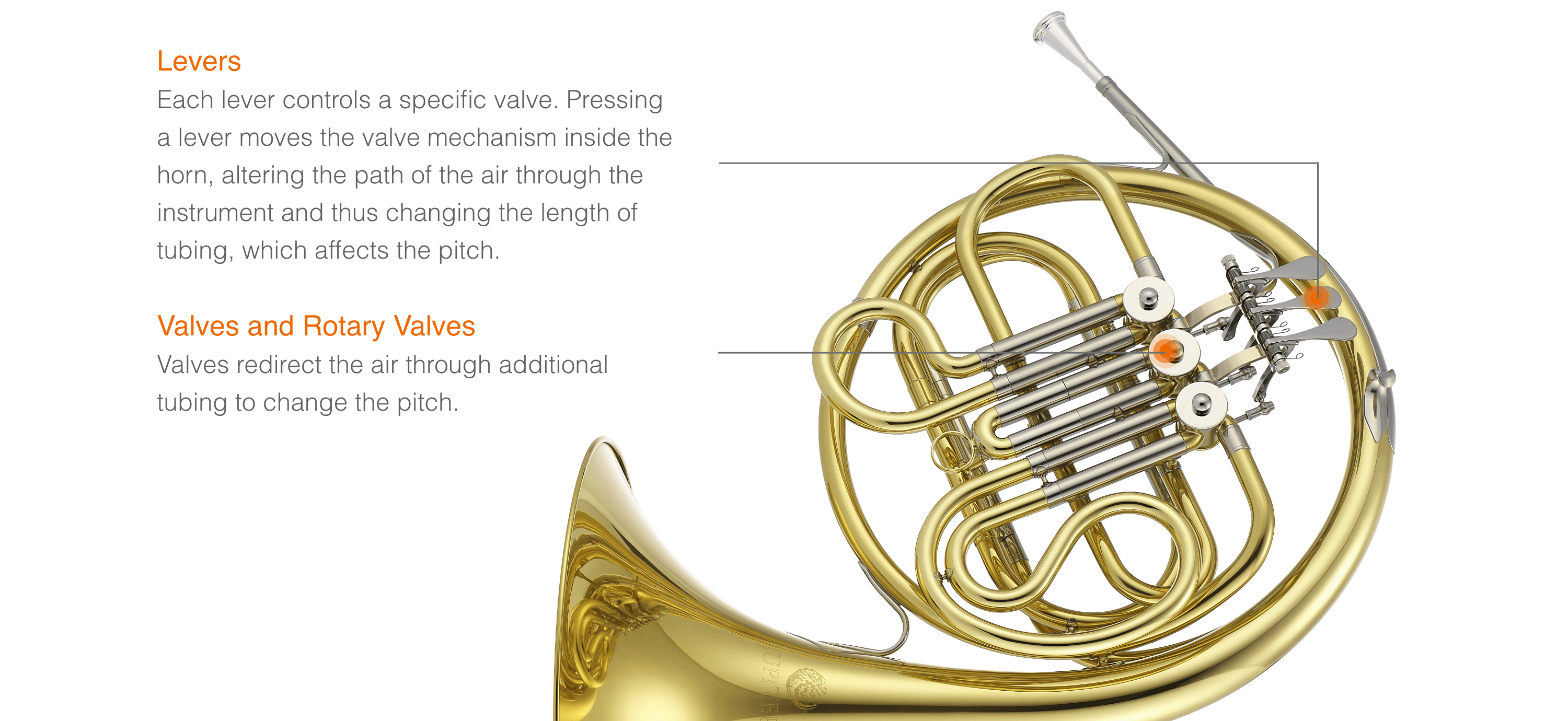 Explore Wind Instruments for Beginners | Jupiter Music