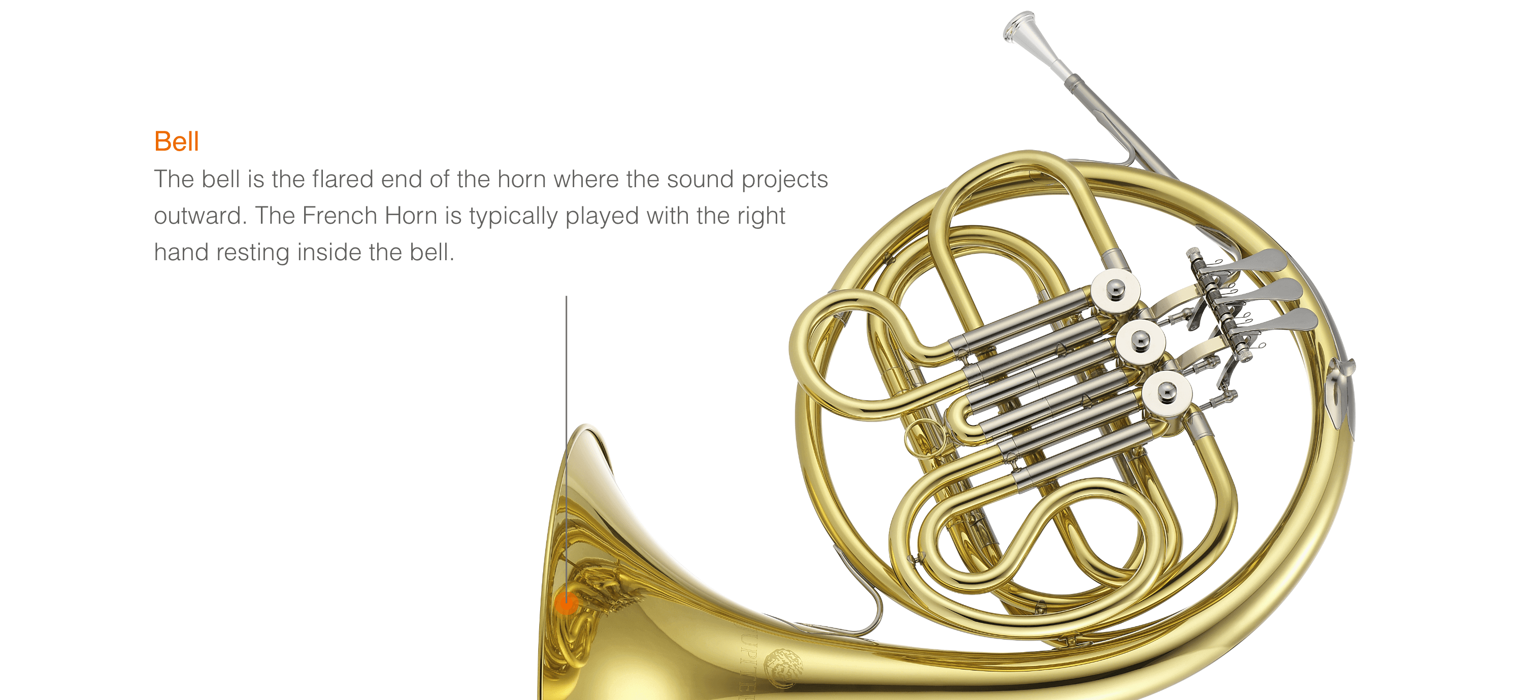 Explore Wind Instruments for Beginners | Jupiter Music