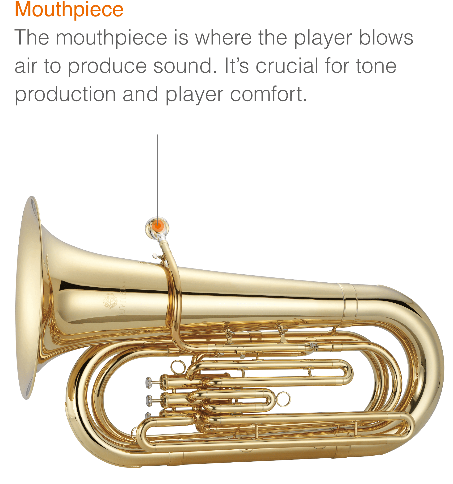 Explore Wind Instruments for Beginners | Jupiter Music