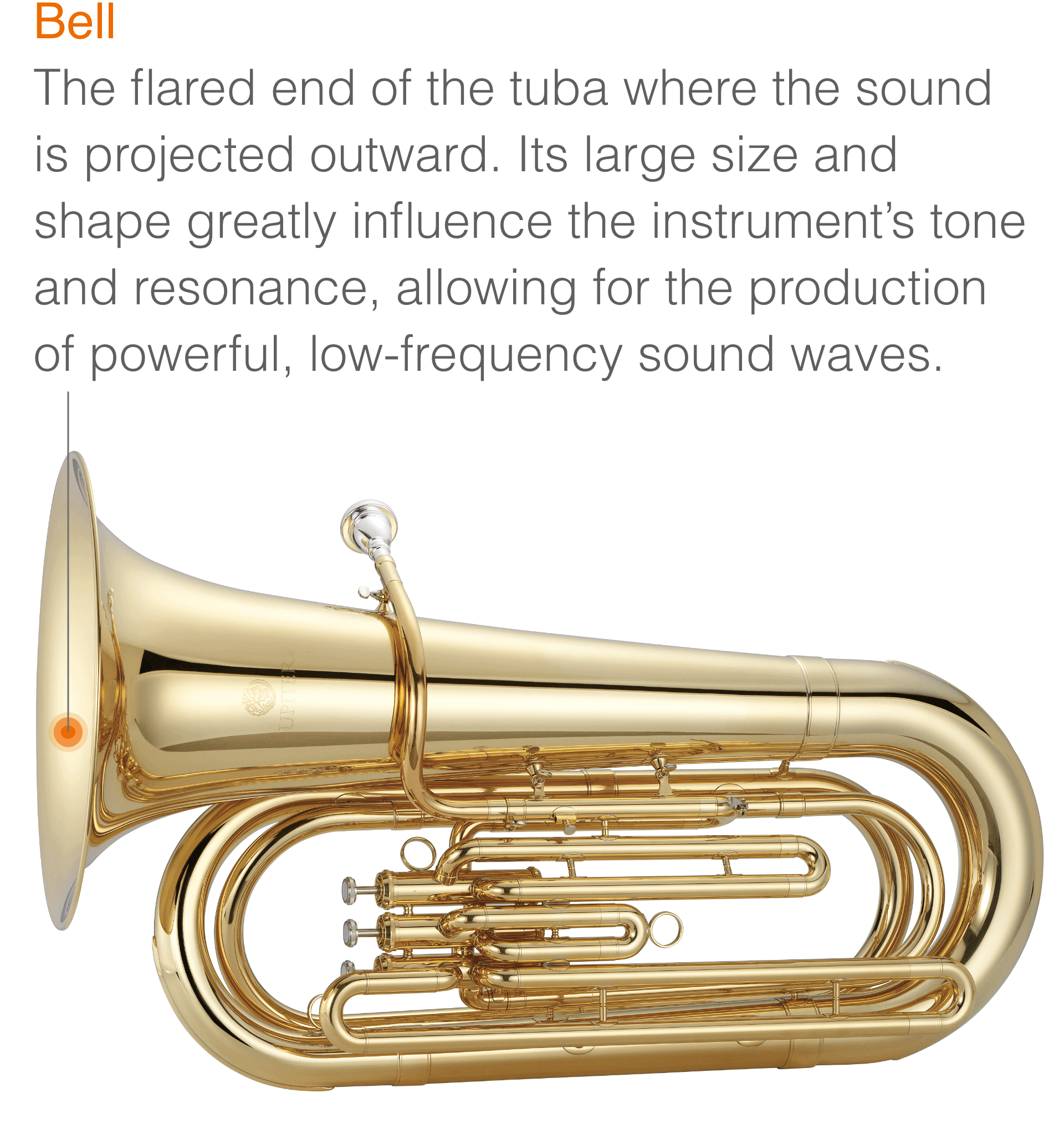 Explore Wind Instruments for Beginners | Jupiter Music
