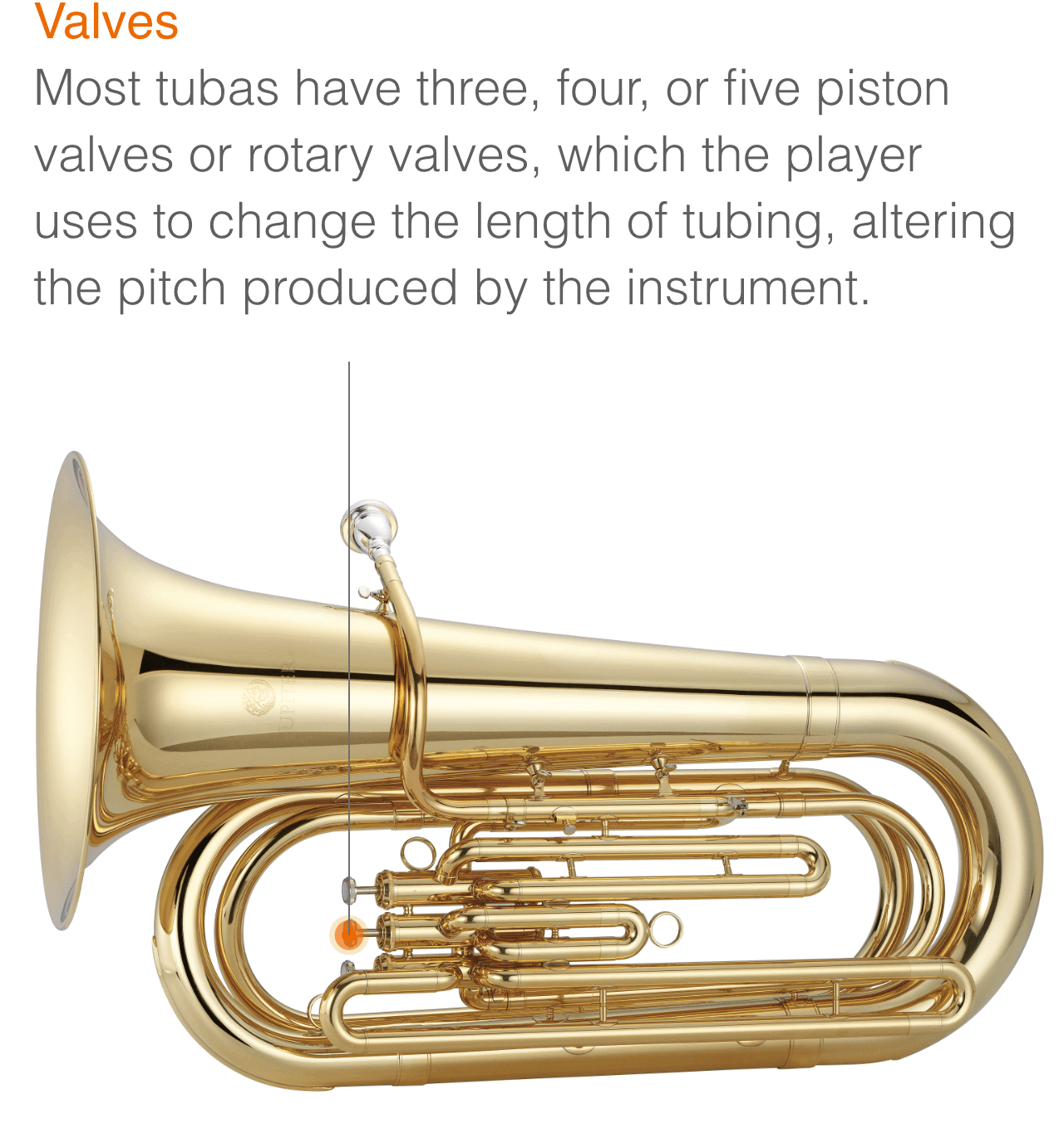 Explore Wind Instruments for Beginners | Jupiter Music