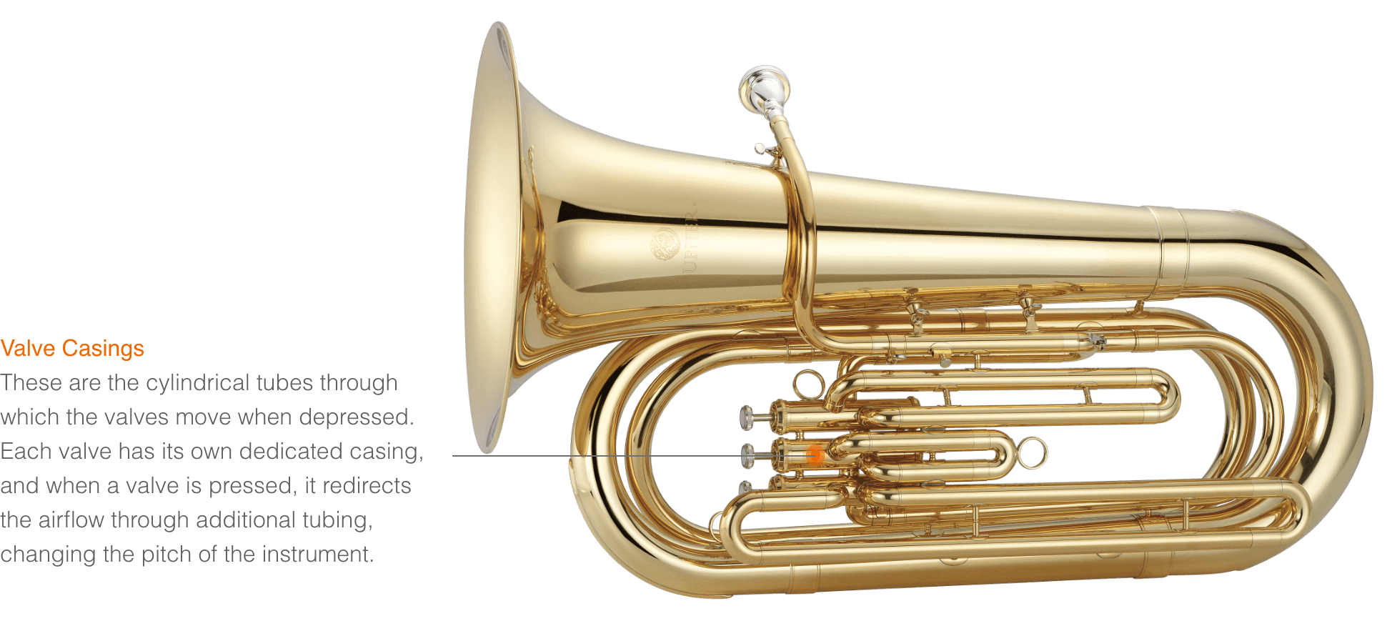 Explore Wind Instruments for Beginners | Jupiter Music