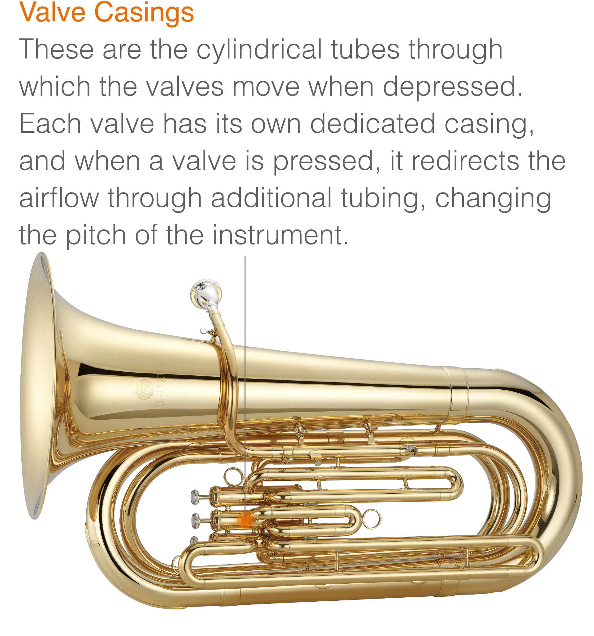 Explore Wind Instruments for Beginners | Jupiter Music