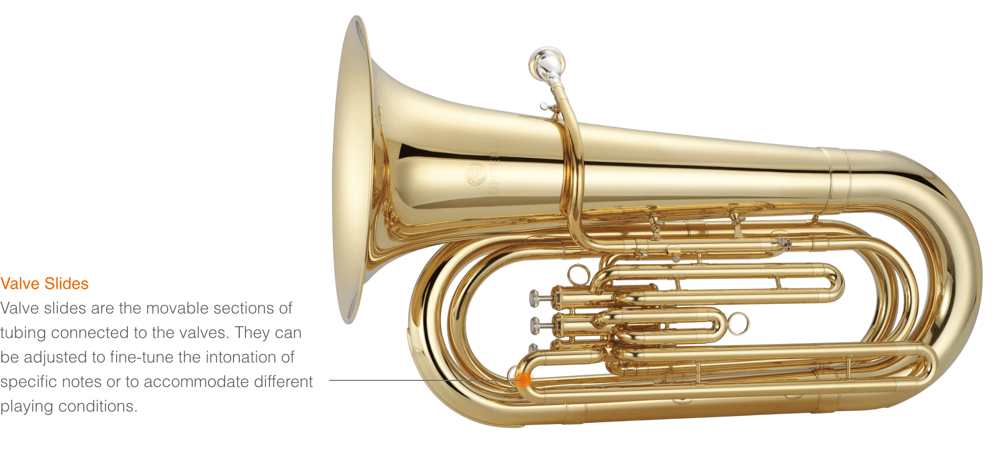 Explore Wind Instruments for Beginners | Jupiter Music
