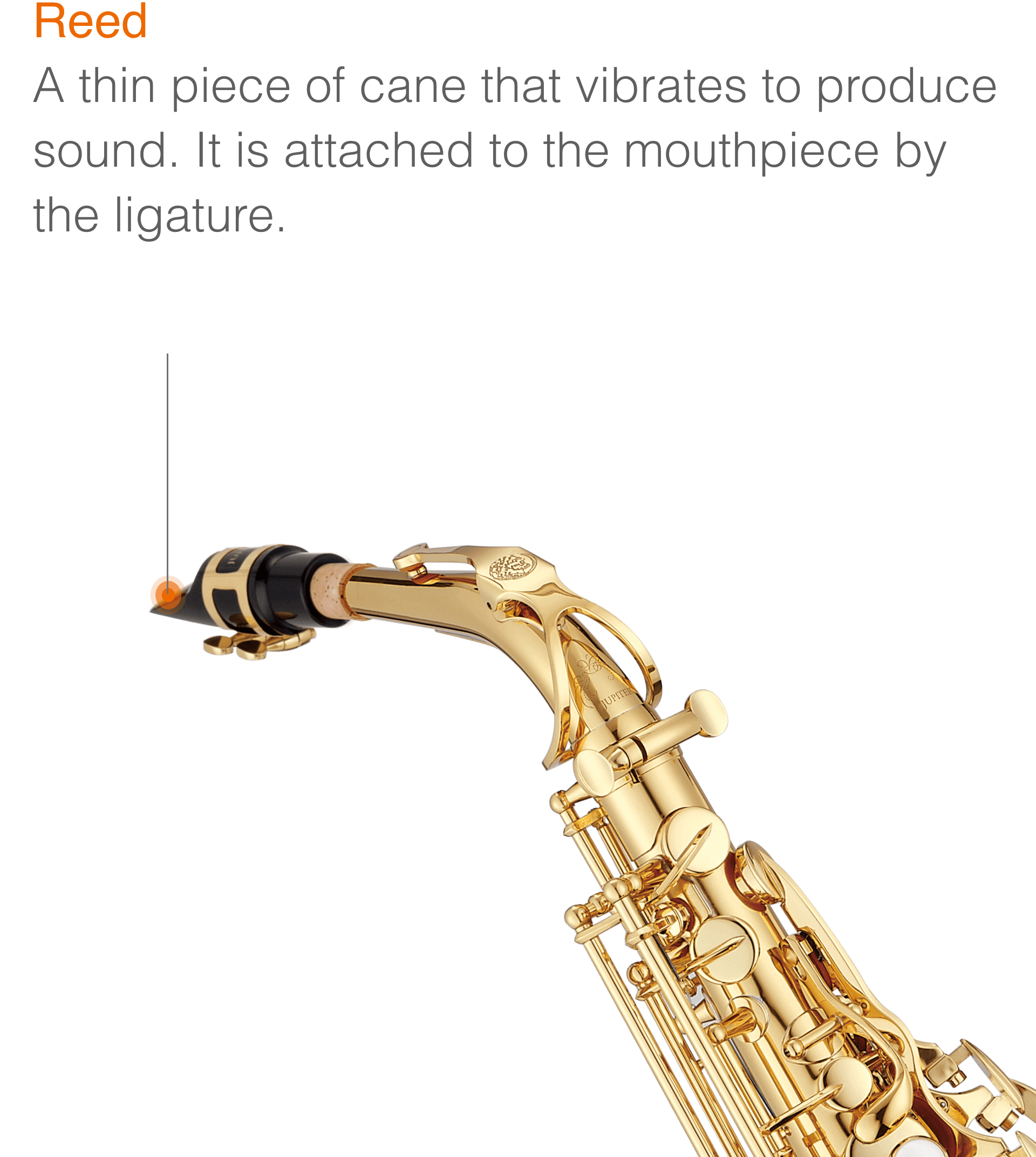Explore Wind Instruments for Beginners | Jupiter Music