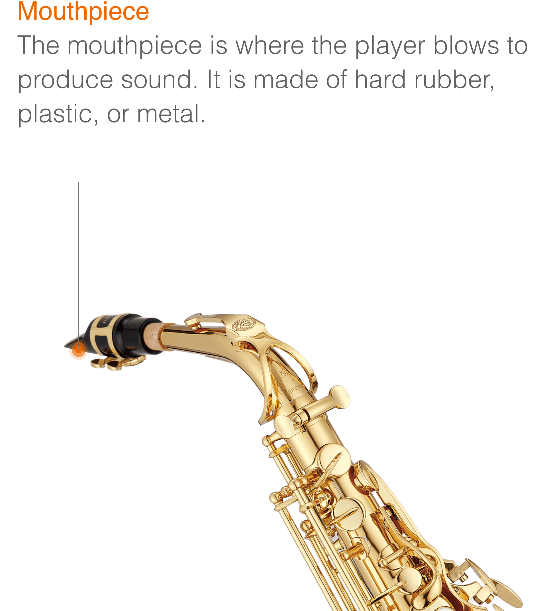 Explore Wind Instruments for Beginners | Jupiter Music