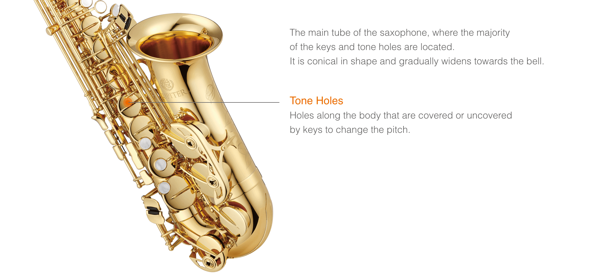 Explore Wind Instruments for Beginners | Jupiter Music