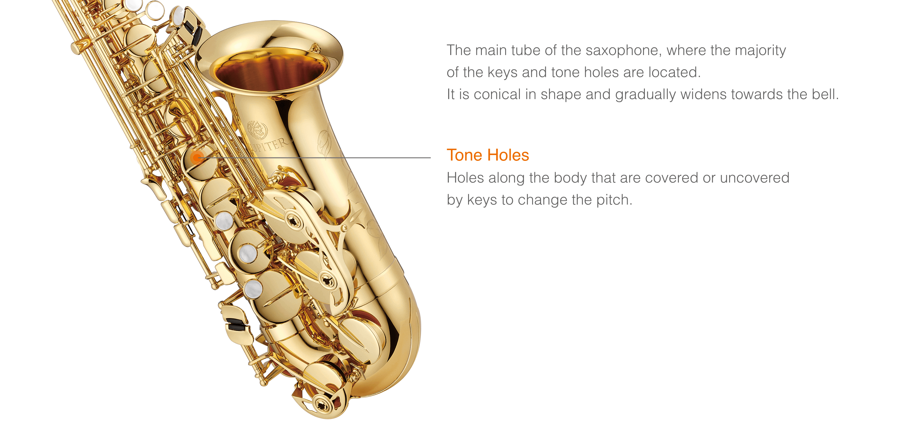 Explore Wind Instruments for Beginners | Jupiter Music