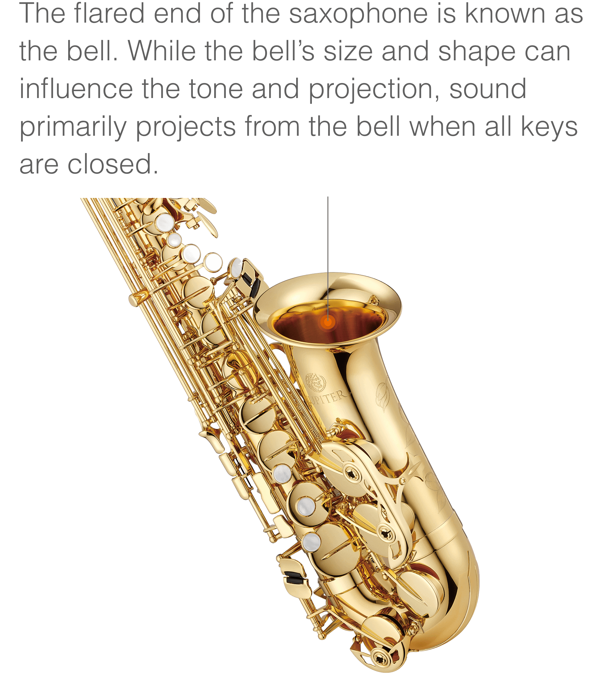 Explore Wind Instruments for Beginners | Jupiter Music