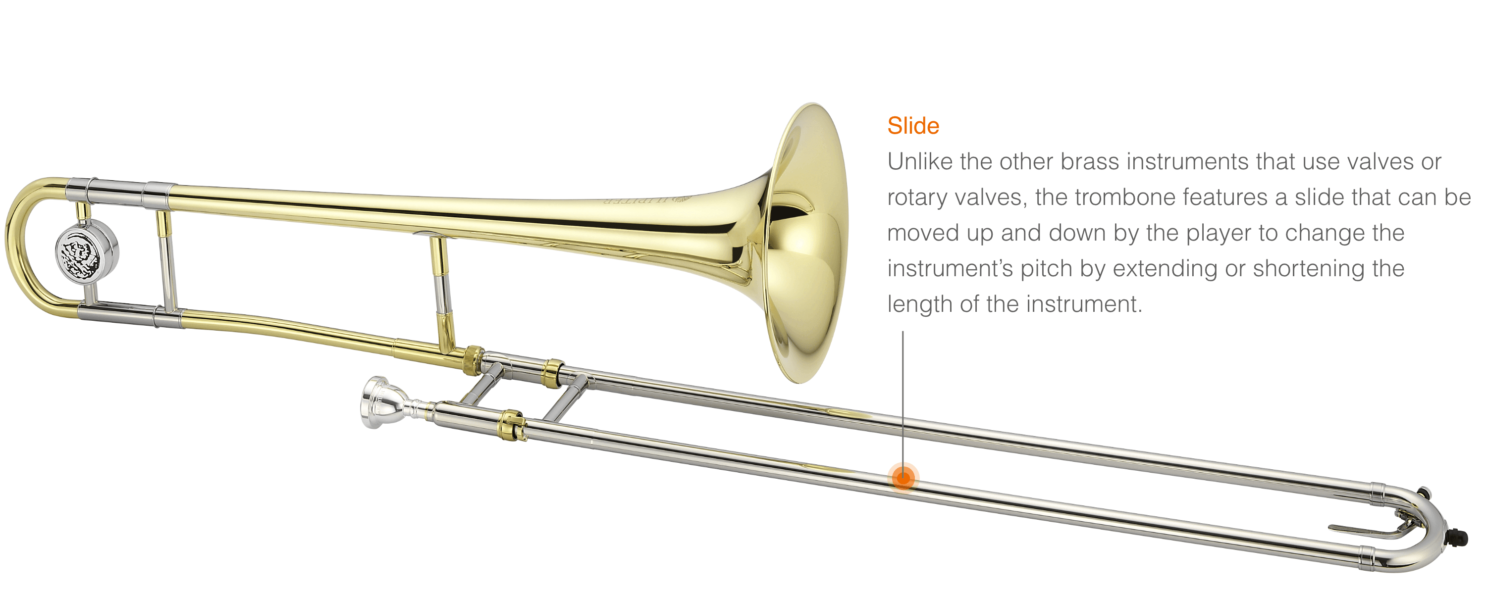 Explore Wind Instruments for Beginners | Jupiter Music