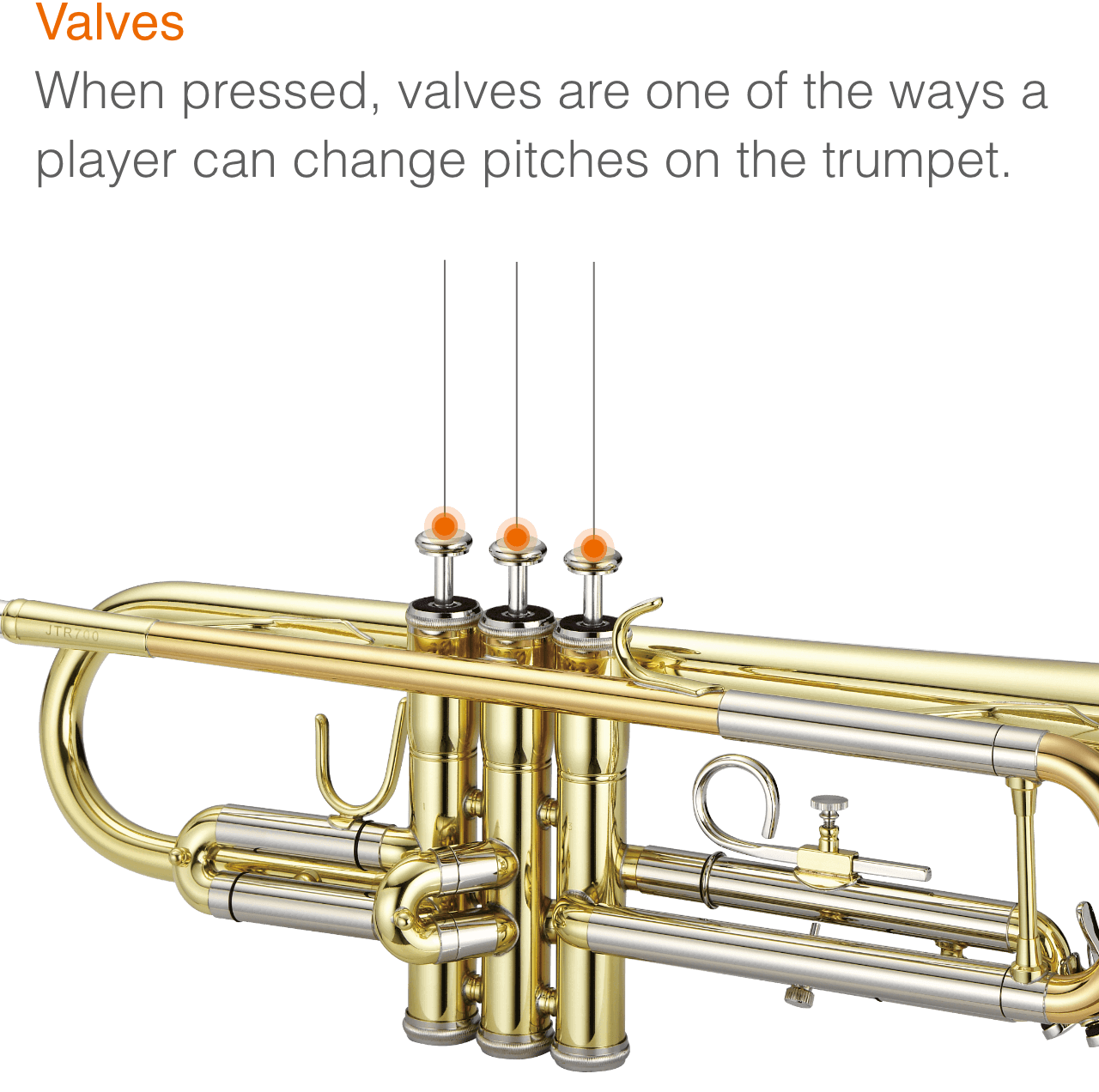 Explore Wind Instruments for Beginners | Jupiter Music