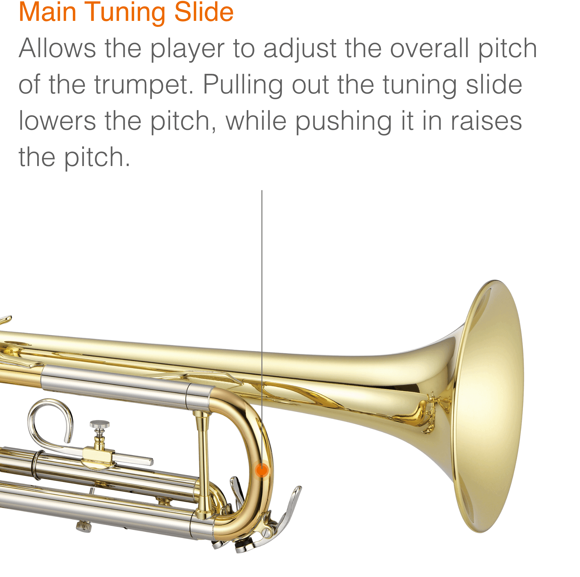 Explore Wind Instruments for Beginners | Jupiter Music